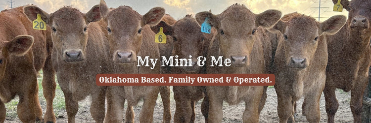 My Mini & Me Boutique – MY MINI & ME